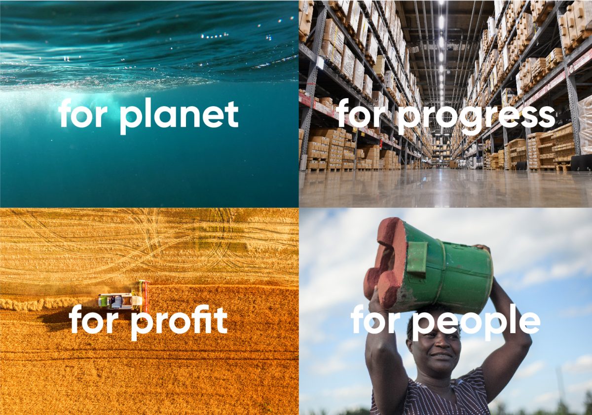 Mr B and Friends | EcoAct launches new brand identity | Bristol UK