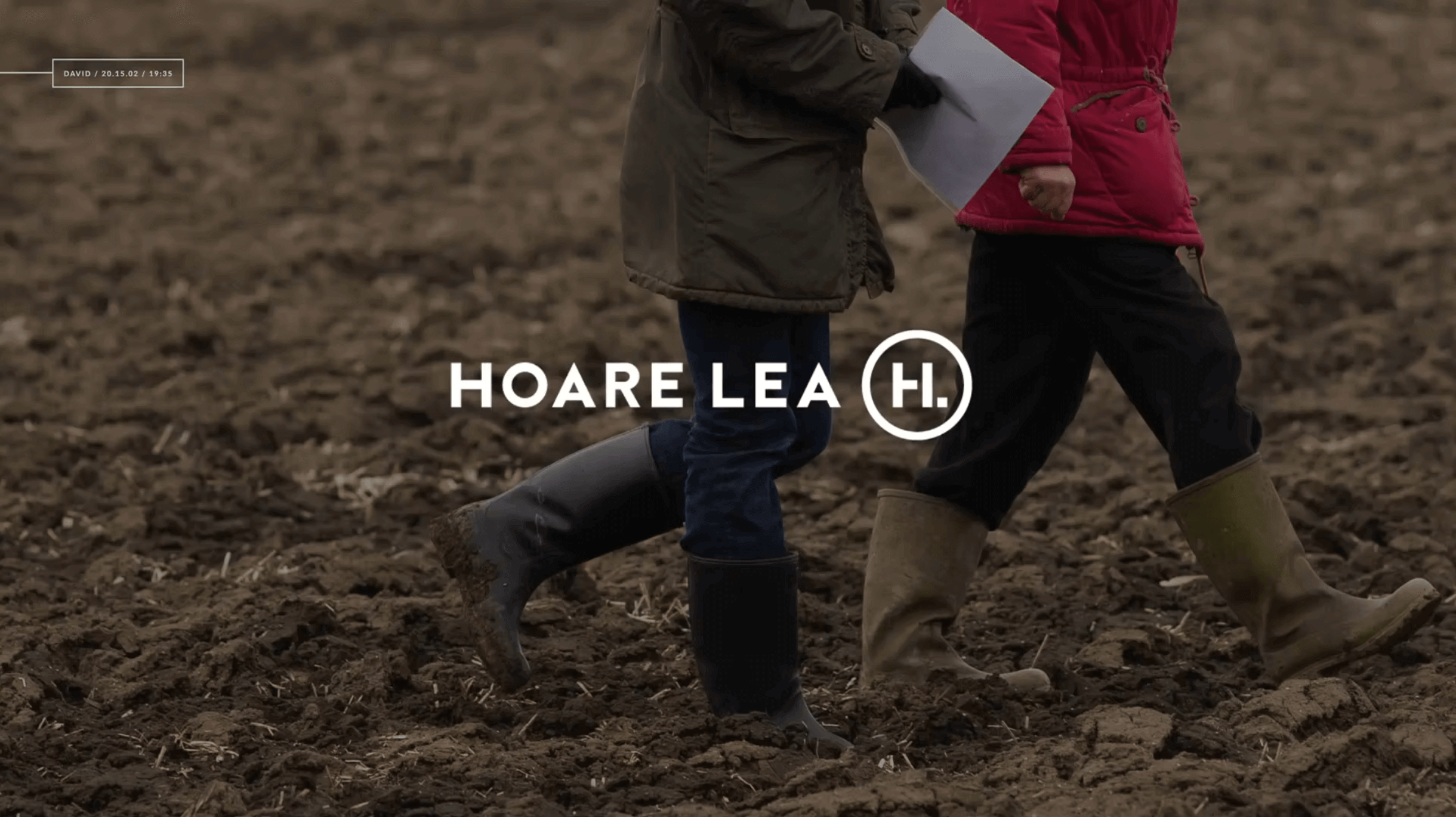 Hoare Lea Rebrand | Mr B & Friends