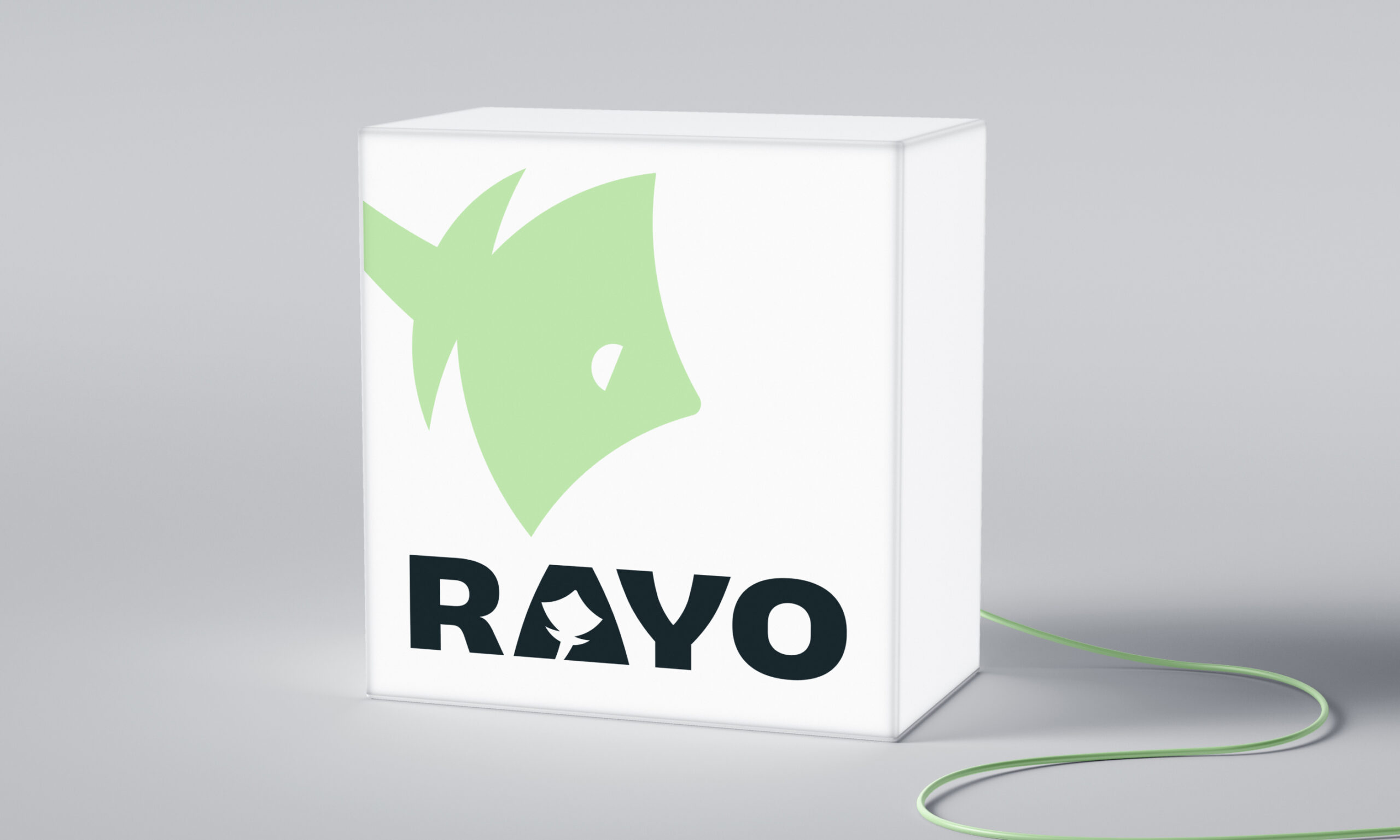 Rayo brand identity | Mr B & Friends